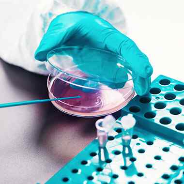 O nama - Labos medicinsko-biohemijska laboratorija Sarajevo, Tešanjska 1