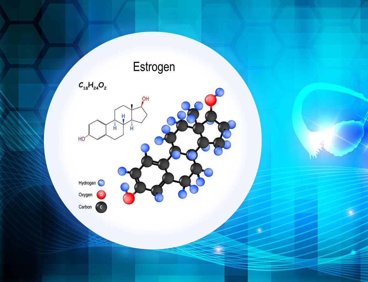 Estrogeni (Estradiol) - Labos laboratorij Sarajevo, Tešanjska br. 1 - M ...
